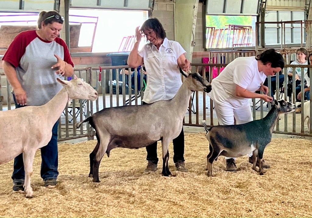 CH Moon Station Kari VEEE 90