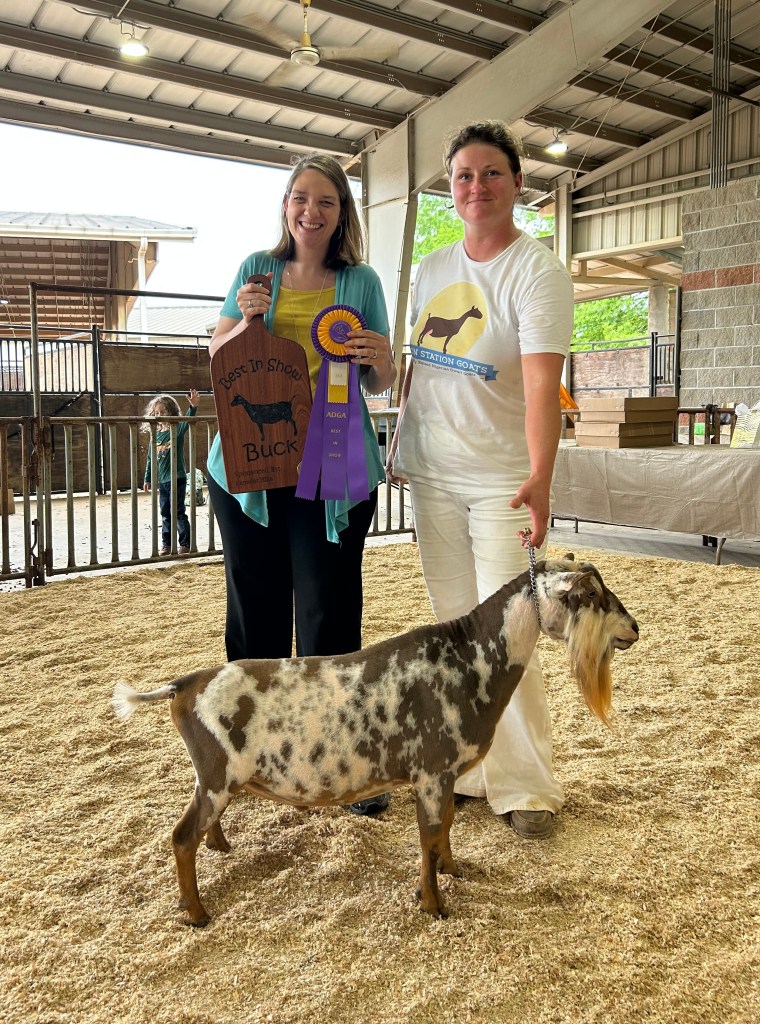 CH Moon Station Orion